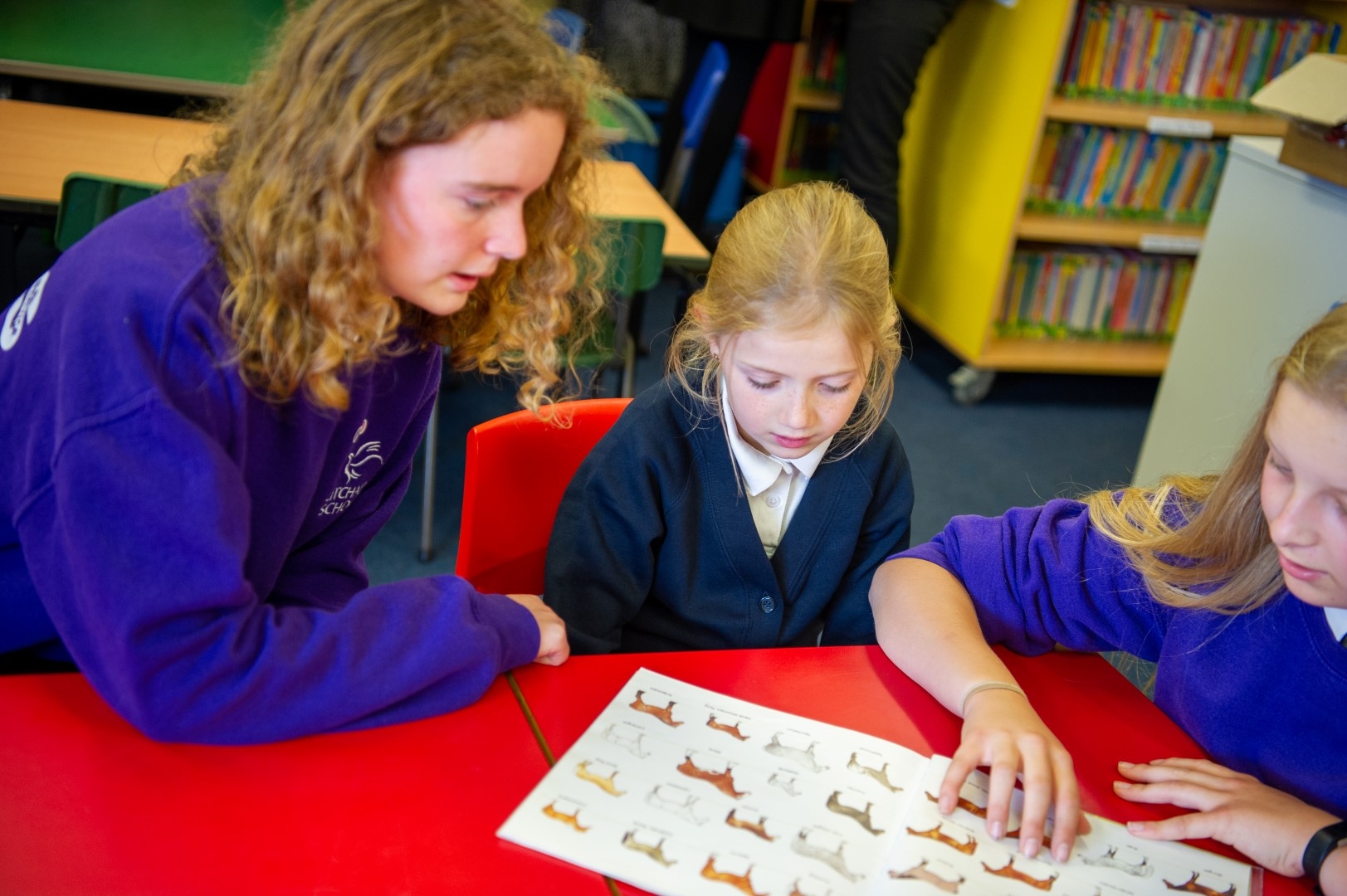 Litcham School | Synergy Multi-Academy Trust - Primary